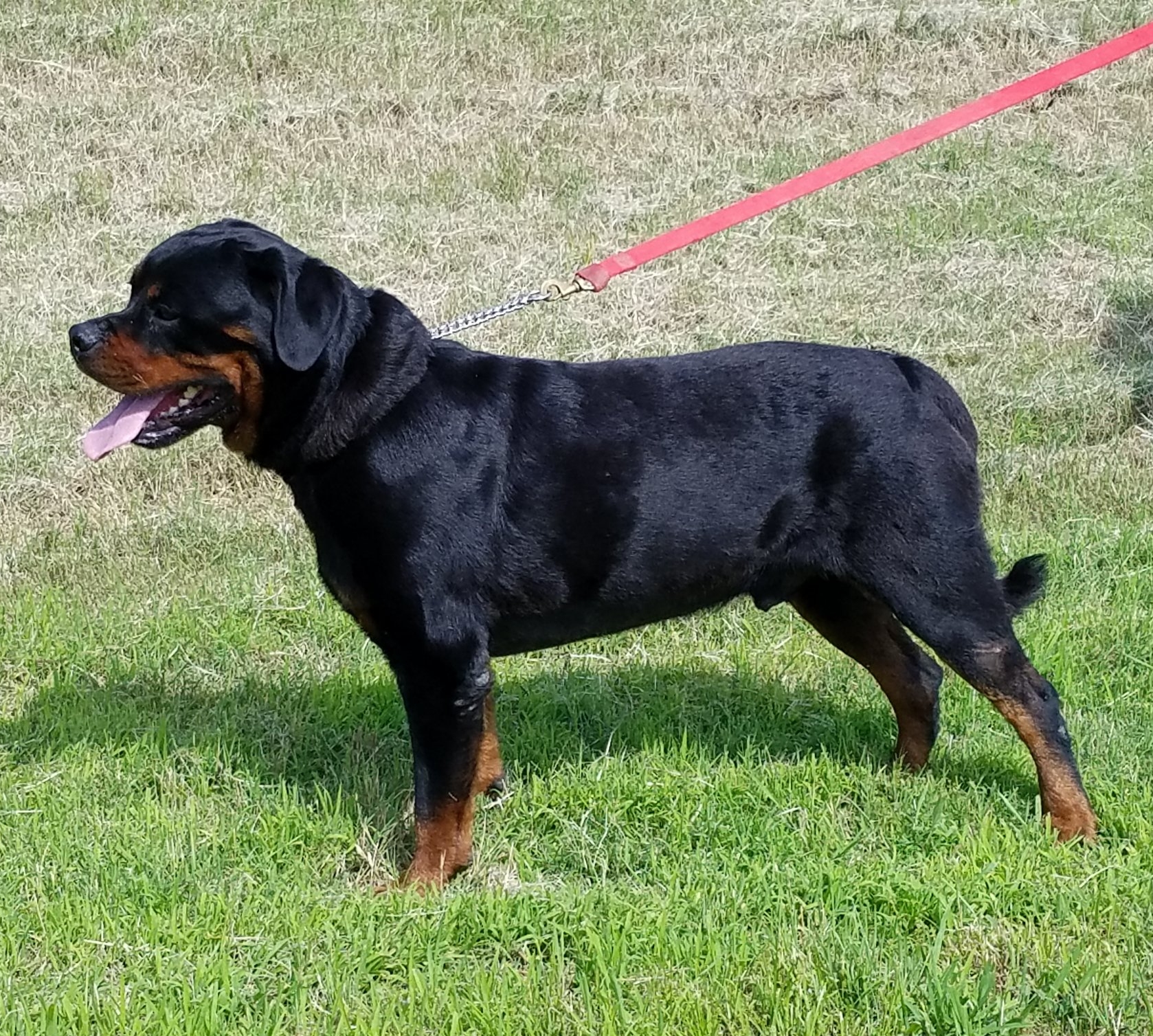 At Stud | Range Creek Ranch
